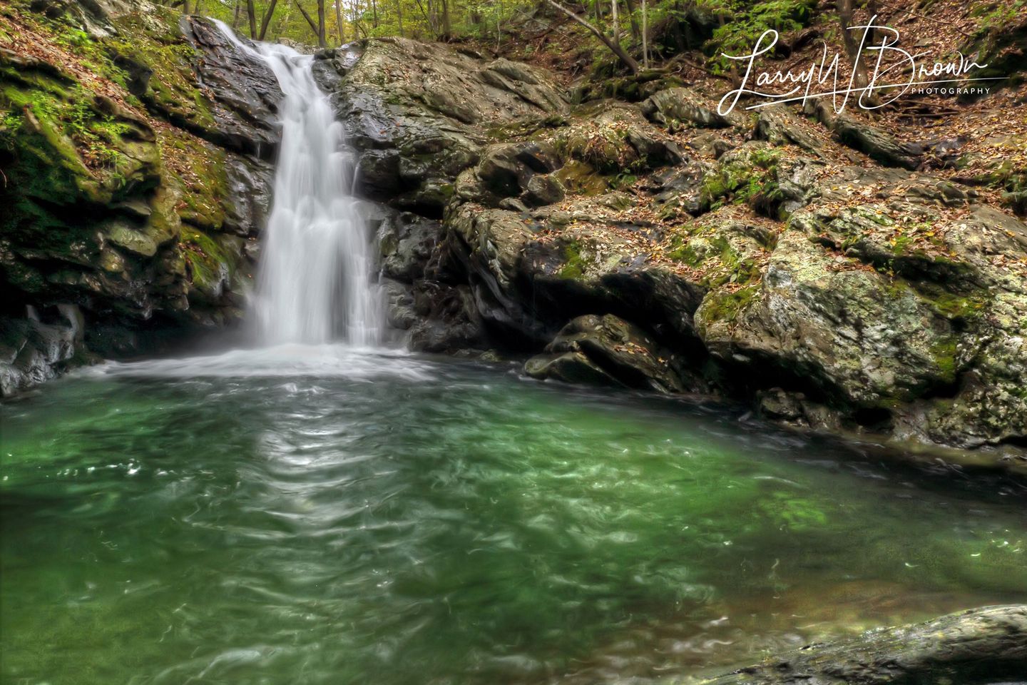 Shenandoah National Park Waterfalls Guide: Cedar Run Falls