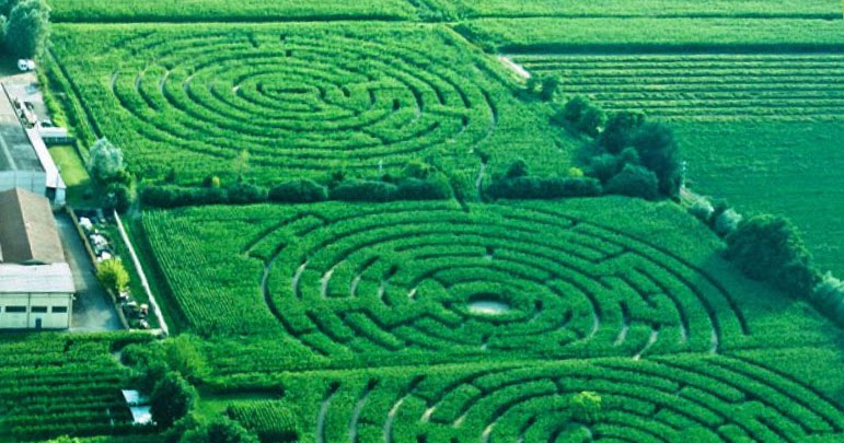 Il Labirinto di mais ad Alfonsine (RA), di Carlo Galassi.