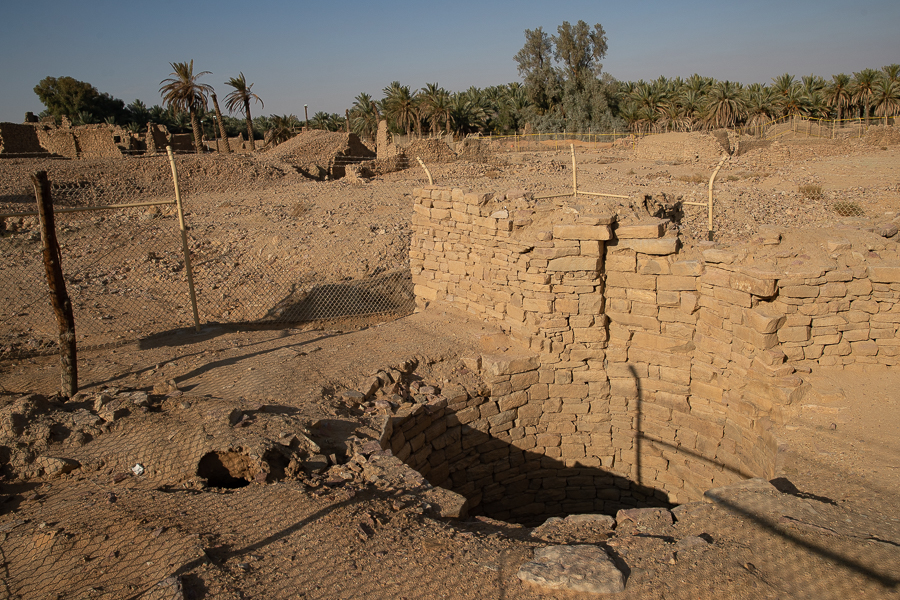 Birds of Saudi Arabia: Dumat Al-Jandal Wells - Dumat Al-Jandal