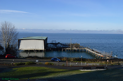 Northwestern Perspectives: Haines Wharf 1-1-13