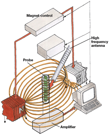 MEDICAL PHOTOS, MEDICAL PHOTOGRAPHY, CLINICAL PHOTOGRAPHY, ANATOMICAL ...