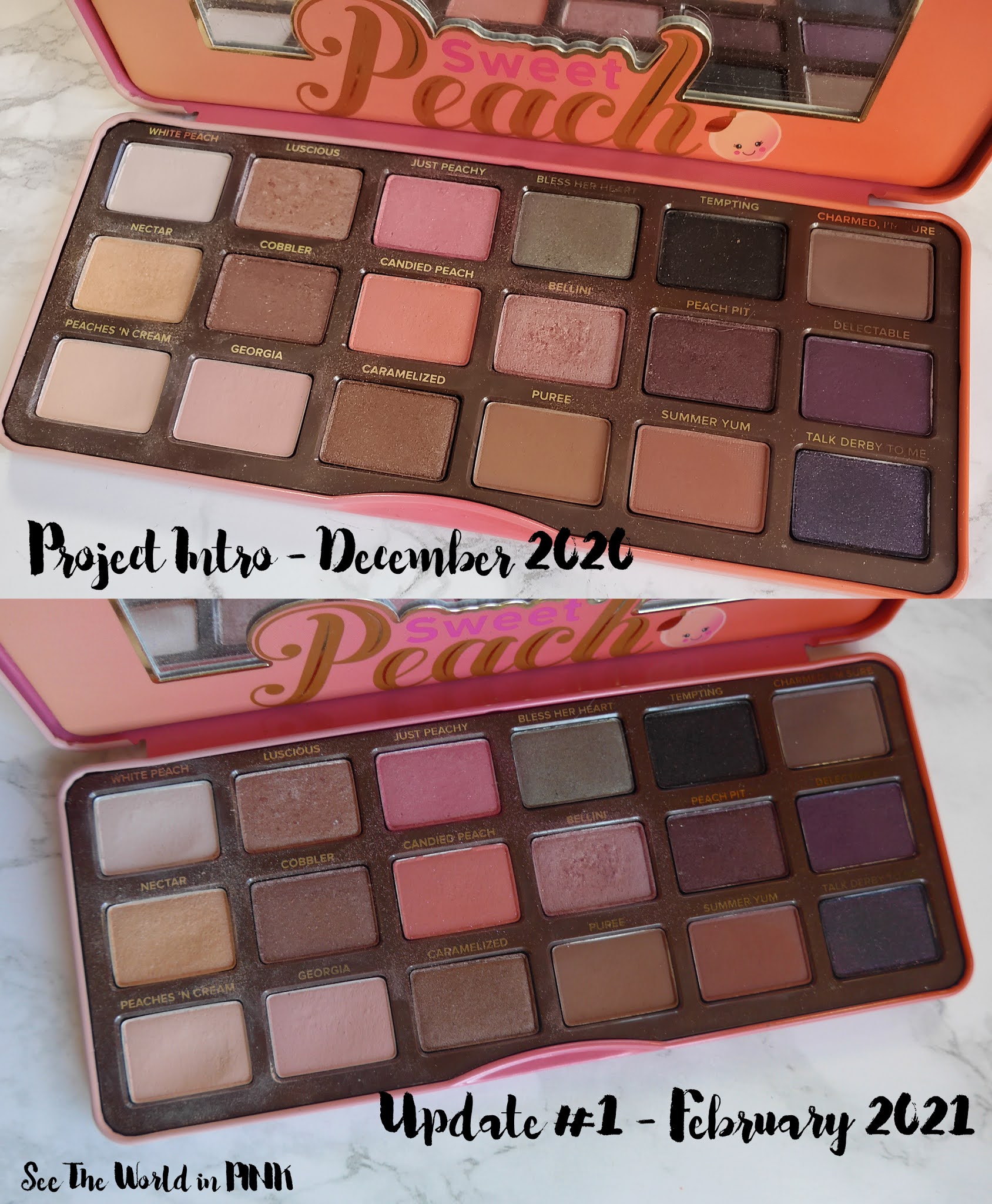 Project Pan 21 in 2021 ~ Update #2 | See the World in PINK