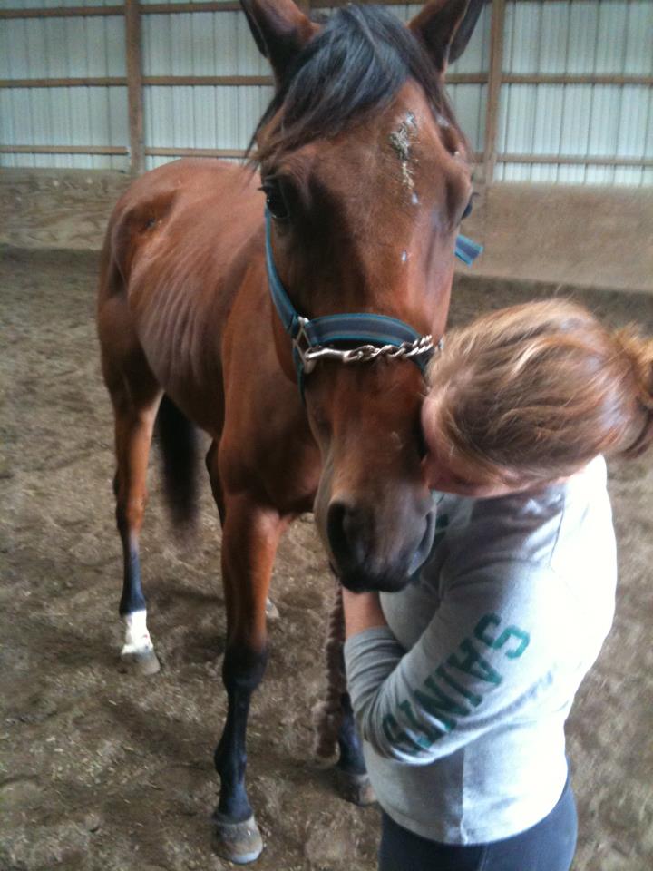Our Rescue Horse, Foster