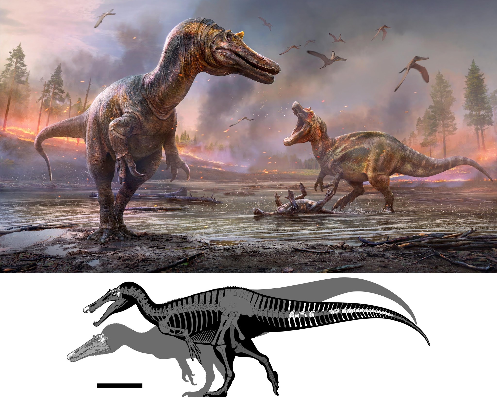 Species New to Science: [Paleontology • 2021] Ceratosuchops inferodios ...
