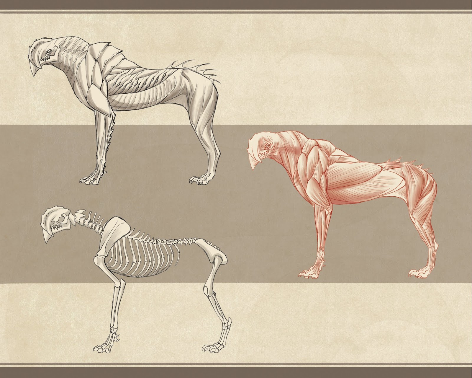 Clare's Final Major Project