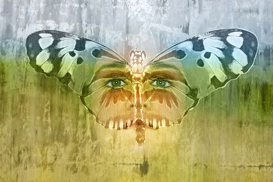 Diane's Photography Blog: Creating a Photomontage in Photoshop