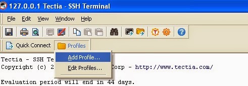 Wang Xiang's Blog: Setup Tectia SSH Server/Client