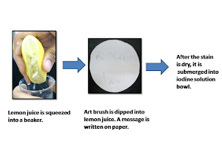 BIOCHEMISTRY: Experiment 4: Vitamin C