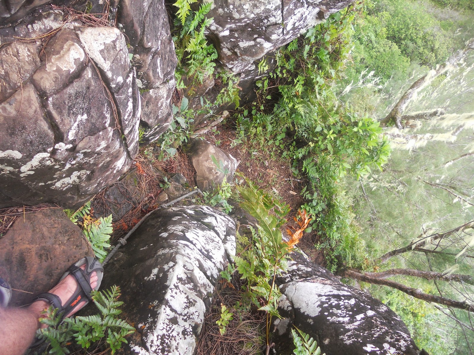 Another Day in New Zealand: Rarotonga Hike - Raemaru Heights Lookout