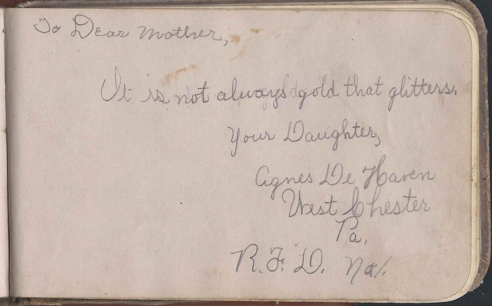 Heirlooms Reunited: 1880s Autograph Album of Susan Sheneman of Chester ...