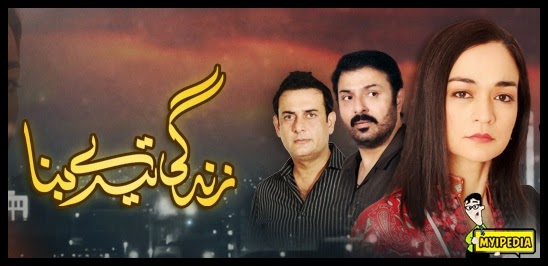 Zindagi Tere Bina A new Drama serial on Hum Tv (Story/Cast/Video ...