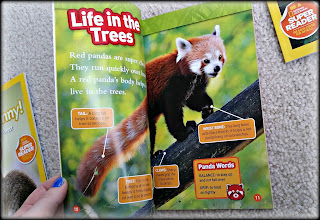 Temporary Waffle: National Geographic Kids Super Readers Club