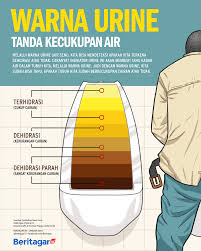 Cara Membaca Hasil Lab Urin /Artikel-Dokter-Anda/ Periksa Laboratorium Anda