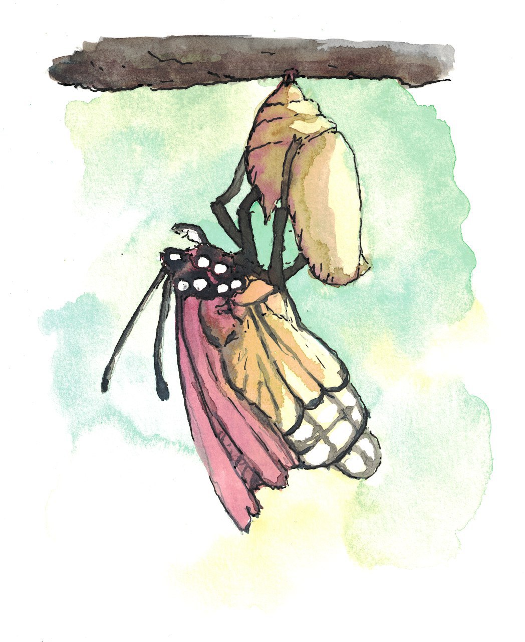 Rol en Mordor: AVENTURA - LA CRISÁLIDA - D&D5e