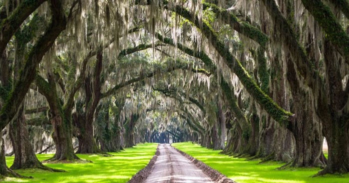 11 Top-Rated Tourist Attractions in South Carolina : BizGlob