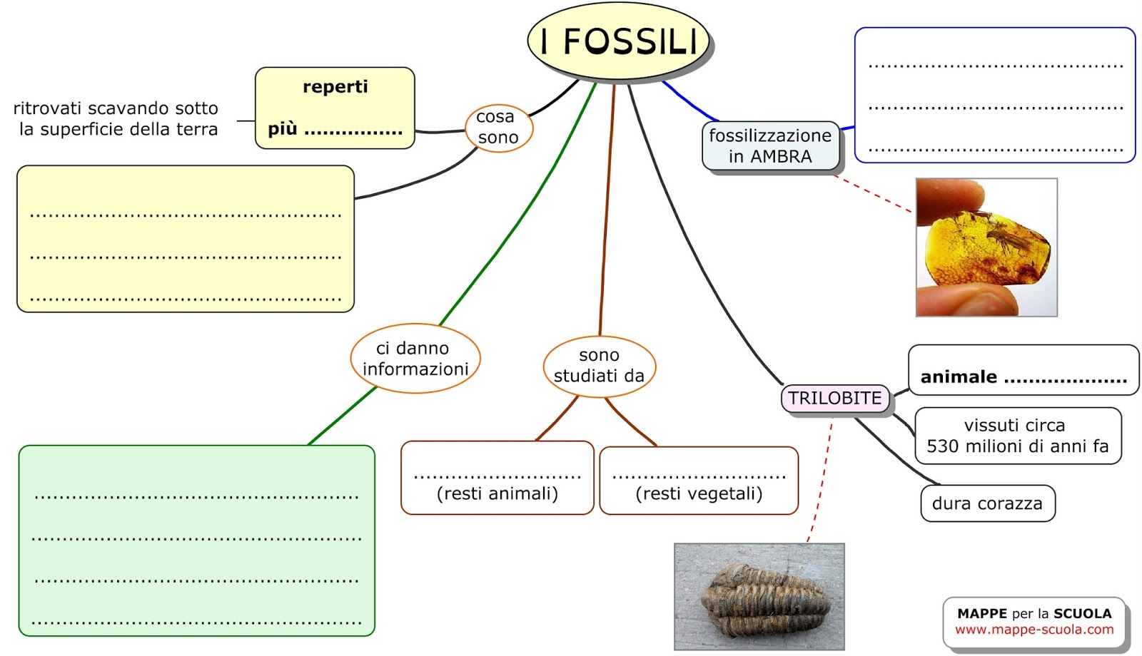 MAPPE per la SCUOLA: I FOSSILI