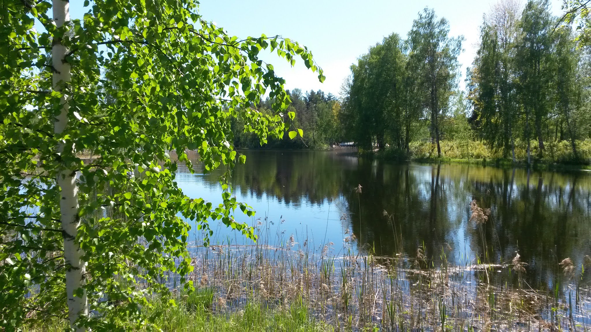 OMAT VALOKUVAT: TOUKOKUU 2021