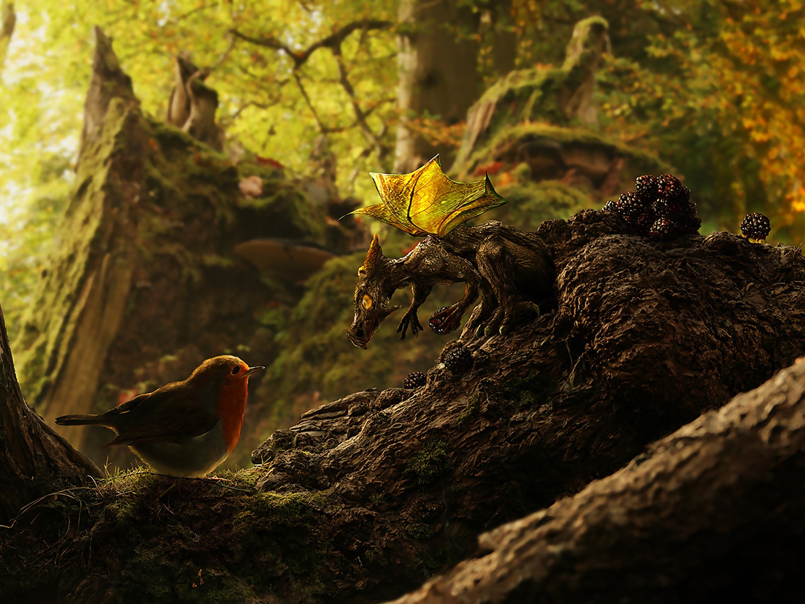 Forest creatures hd wallpaper ~ The Wallpaper Database