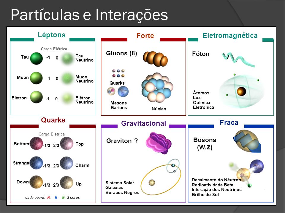 Modelo Padrão da física de partículas | Biologia: A ciência da vida