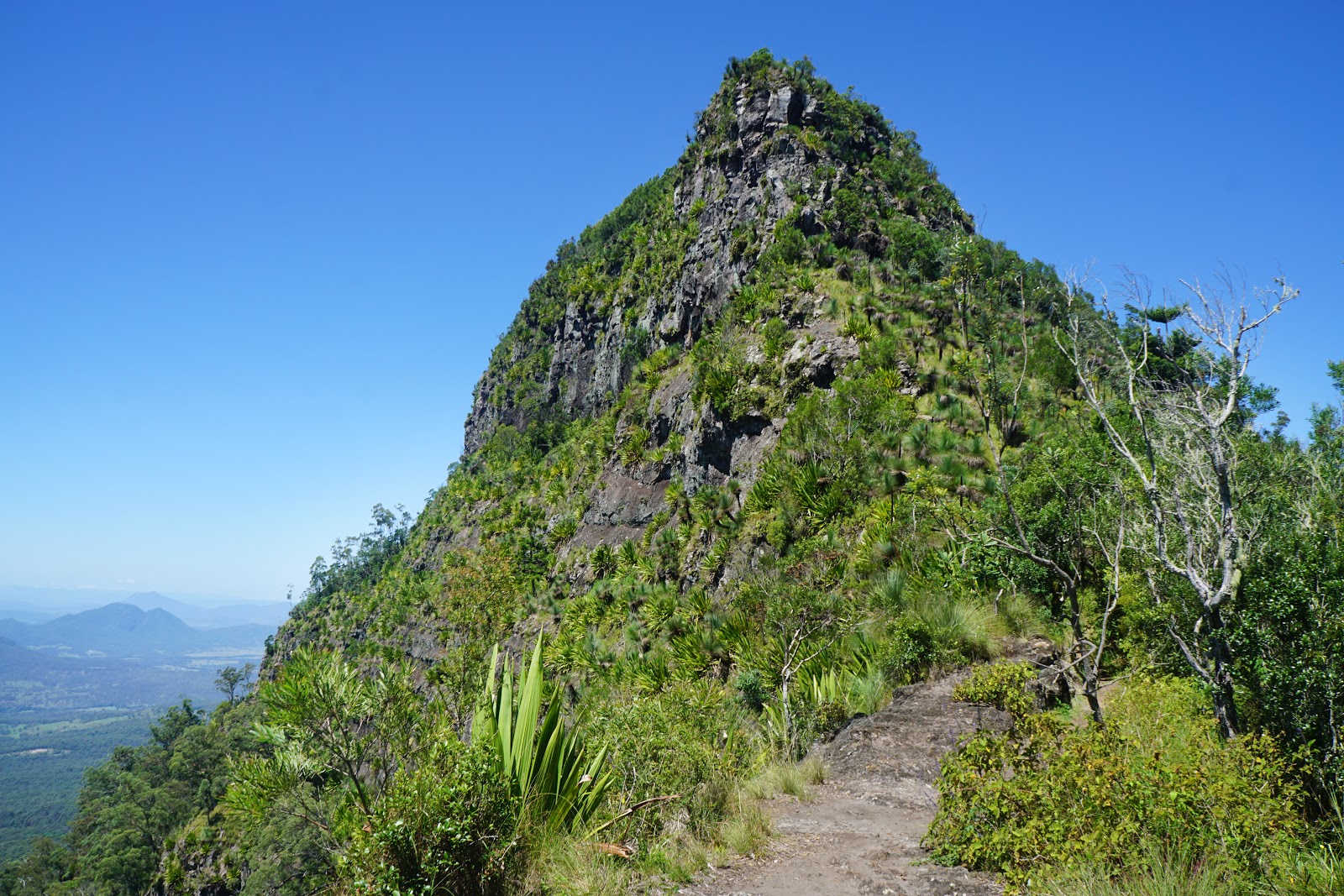 Mt Cordeaux and Bare Rock (Main Range National Park) ~ The Long Way's ...