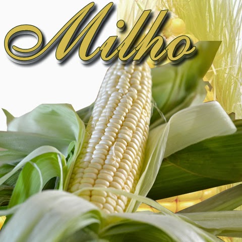 A saúde na história: Milho: um americano versátil, saboroso e saudável