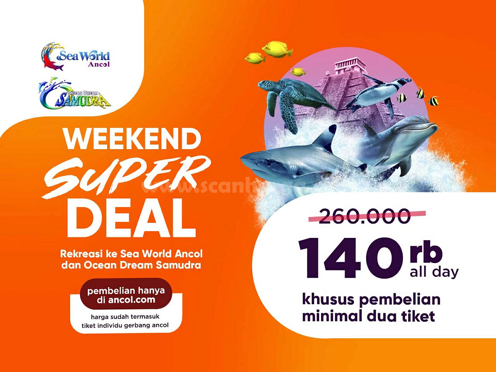 Ocean Dream Samudra Promo Weekend Super Deal Harga Cuma Rp. 140 Ribu ...