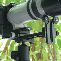 S.C.V. Photography Ideas: A versatile LLSB idea for push-pull zoom ...