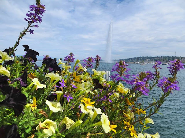 Miss HappyFeet: The Complete Guide to Traveling Across Europe With an Interrail Global Train Pass!