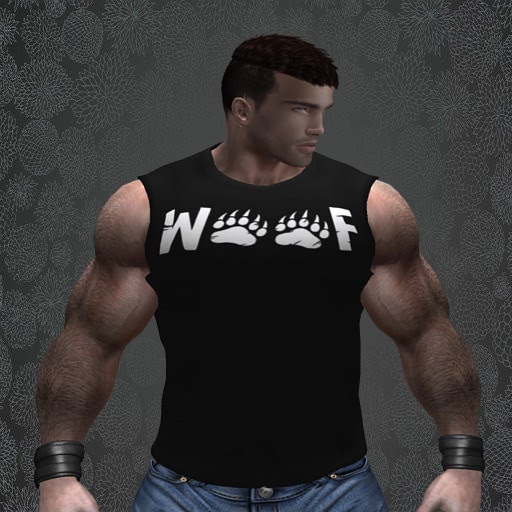 LeCock: LeCock - AESTHETIC WOOF Muscle Shirt