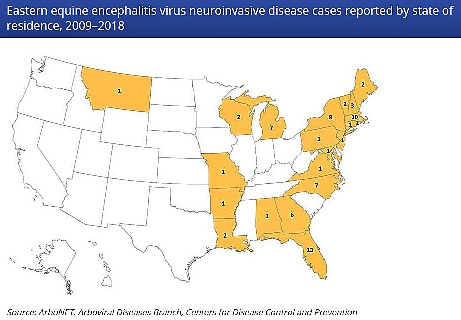 CHICAGO NEWS BENCH: COVID-19, Murder Hornets, Riots, Now This. EEE!