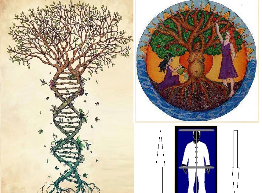 易經 I Ching: Qi Gong