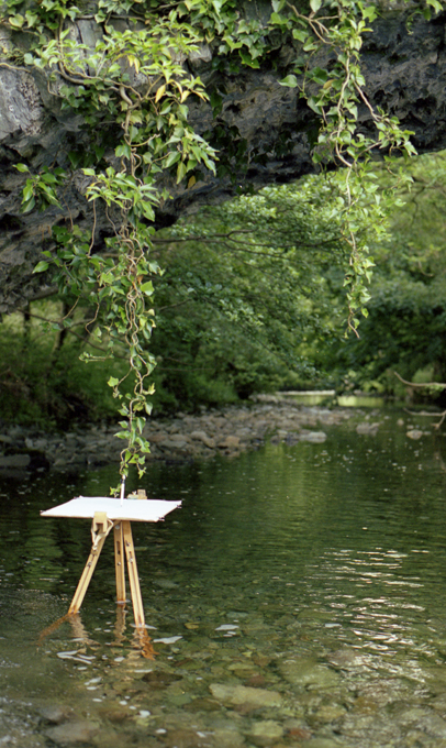 LOS VACIOS URBANOS _ Clara Nubiola: TIM KNOWLES · Tree Drawings