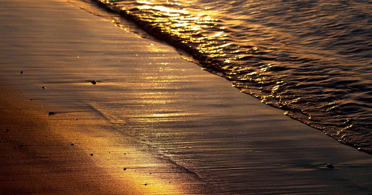 Una orilla en el mundo