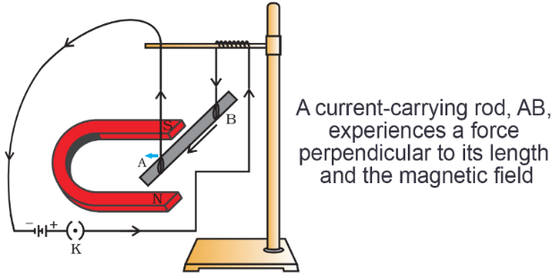 Welcome to the Living World: Magnetic Effects of Electric Current ...