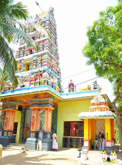 Tamilnadu Tourism: Kanimadam Mutharamman Temple, Anjugramam, Kanyakumari