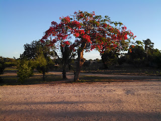 Viajem Distrito de Panda - Blog de Inhambane