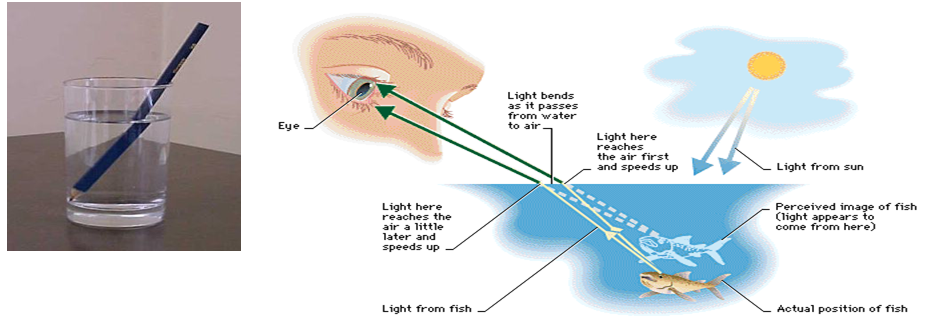 PROWEB: FISA DE LUCRU REFLEXIA SI REFRACTIA LUMINII