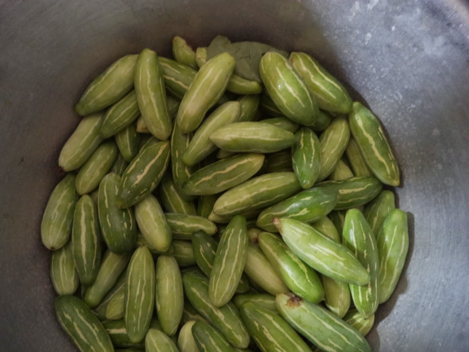 HFASBS Kumbla: 11351: December 2014