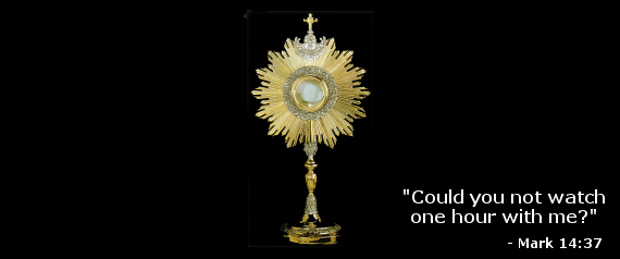 Da Mihi Animas: 24 Reasons for Spending a Holy Hour before the Blessed ...