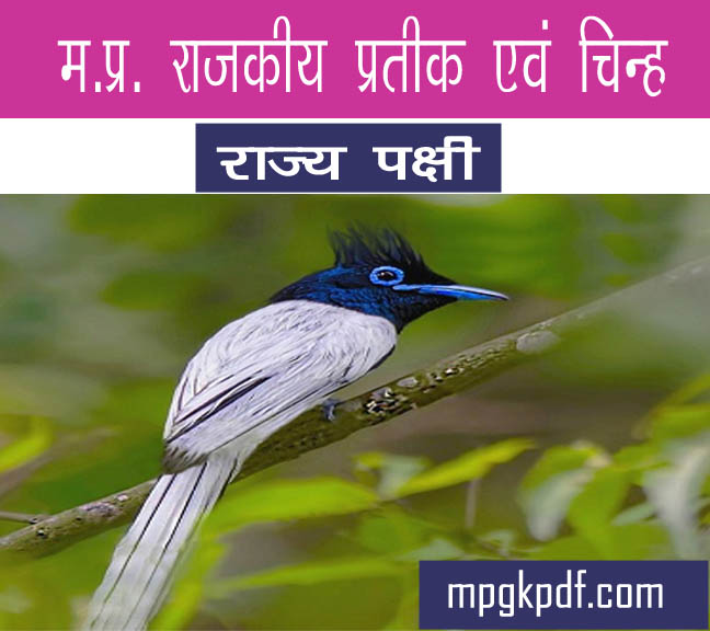 MP Ke Rajkiya Pratik Chinh | State symbols of mp in hindi - GK in Hindi ...