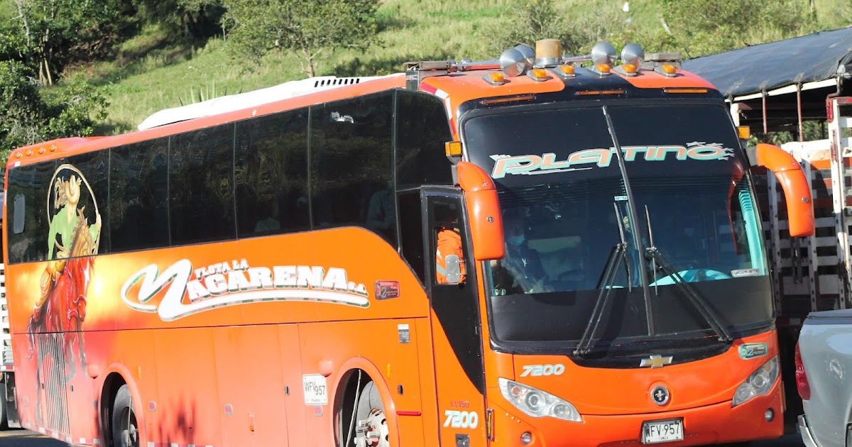 Buses de Colombia - Oficial