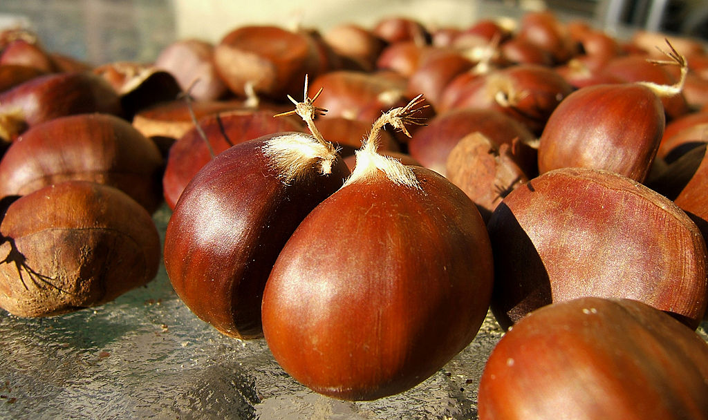 ABEMVS INCENA: LAS CASTAÑAS EN LAS MESAS ROMANAS