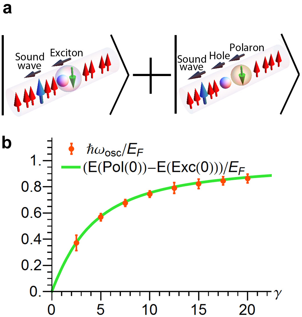 2Physics: Quantum Flutter: A Dance of an Impurity and a Hole in a ...