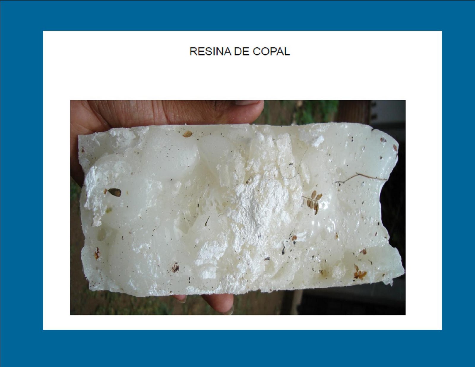 GRAN ABUELA: LA TIENDITA DE LA GRAN ABUELA COPAL BLANCO