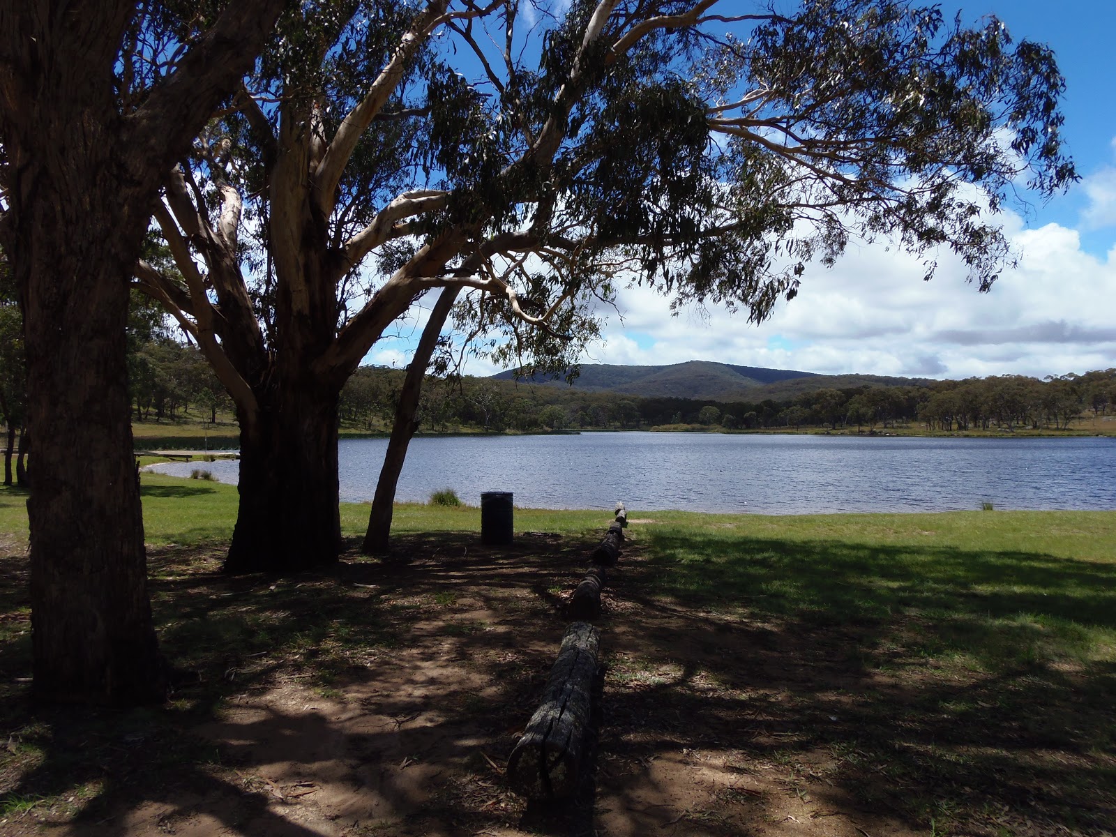 Solo Steve On The Road: ARMIDALE NSW AND DUMARESQ DAM
