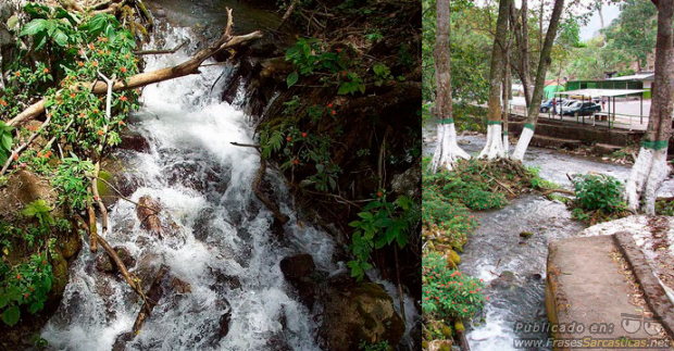 Te amo Venezuela mi pais: PAGINA(2) LOS RECORDS GUINESS DE VENEZUELA.