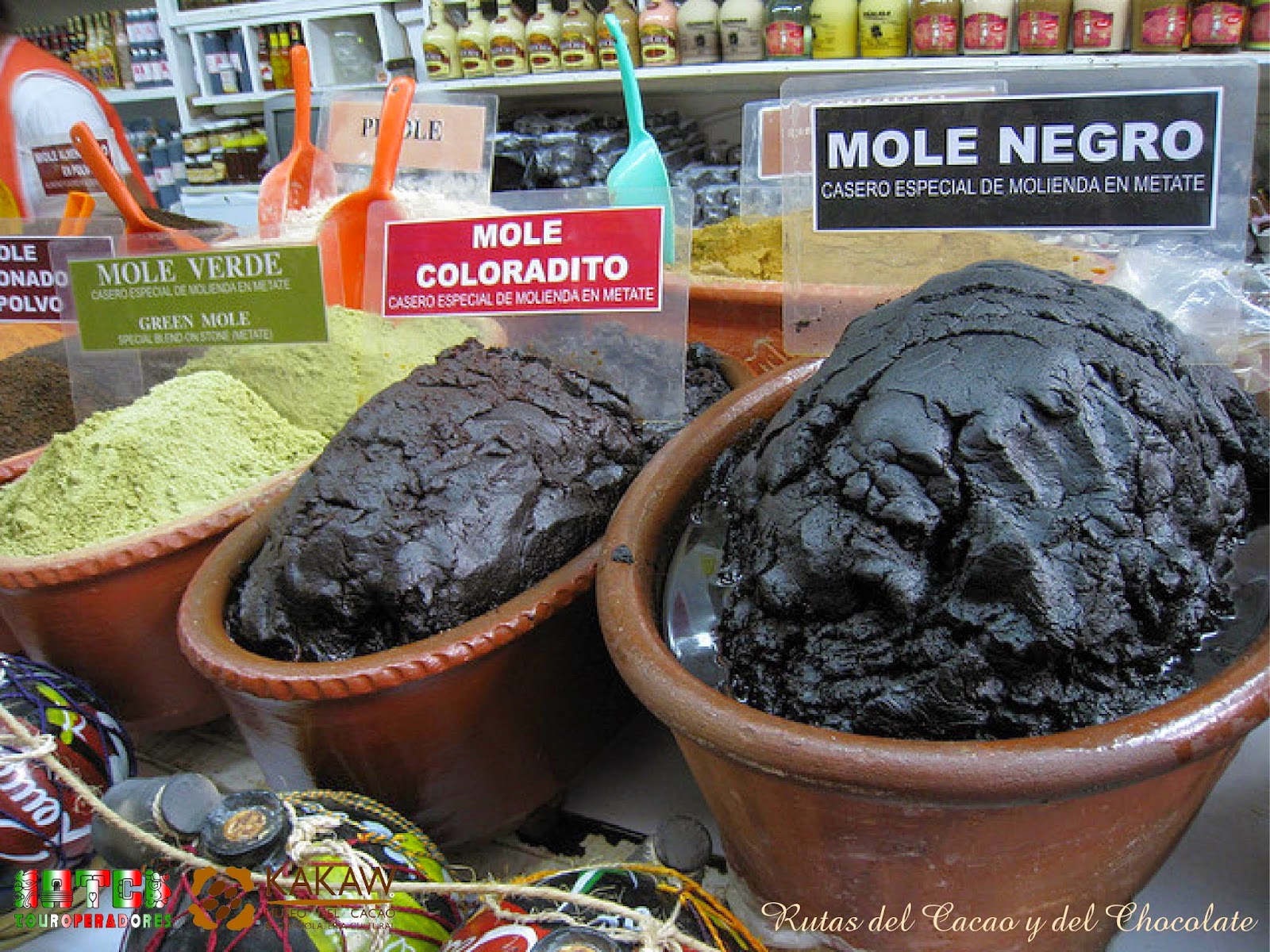 Diversidad De Culturas : Gastronomía de los zapotecas