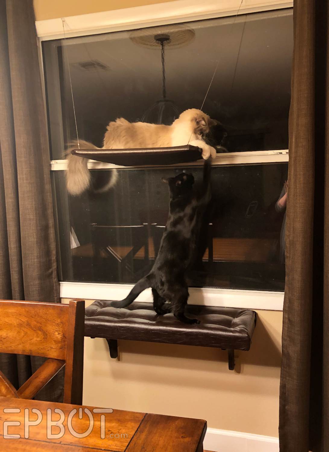 Diy Cat Window