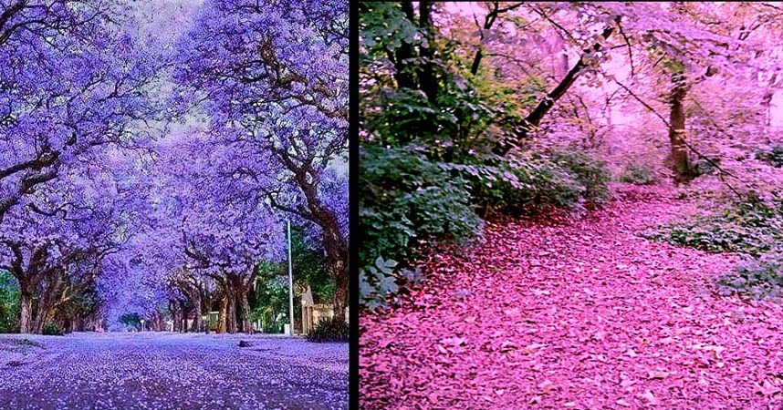 Z es Zaragoza: El cierzo logra que se hable de Zaragoza en la distancia