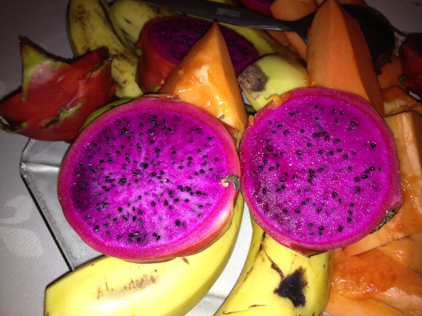 Pitahaya - MULTISARTGUMENTIS